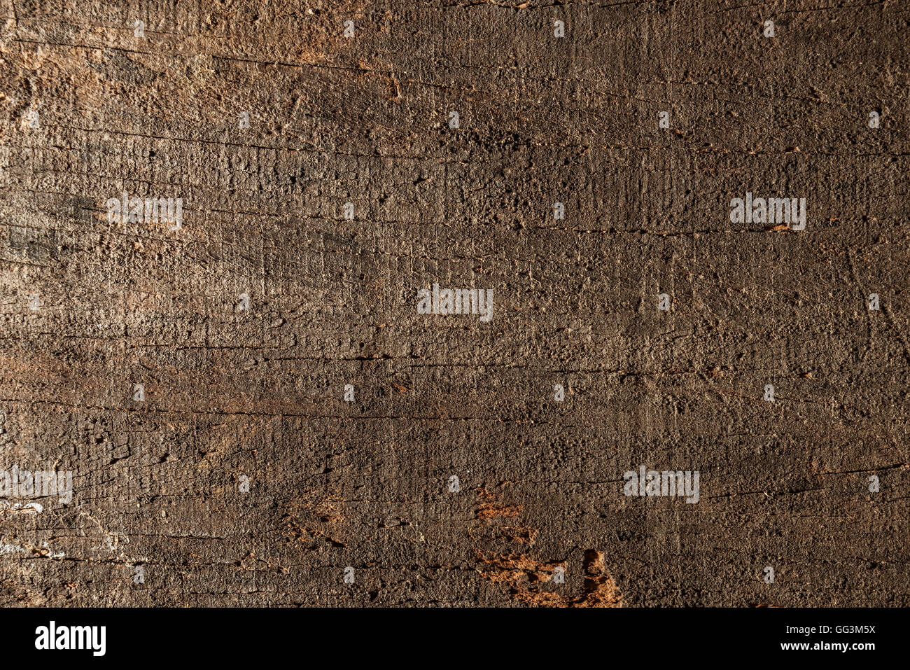 Quebracho, original hard and ancient wood in Latin America Stock Photo ...