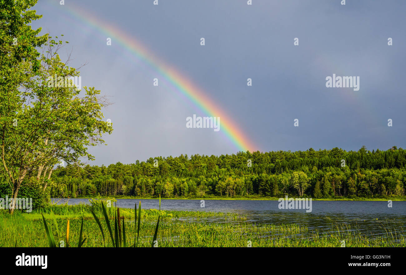 Colourful summer rainbow over an Eastern Ontario Lake after a rain ...