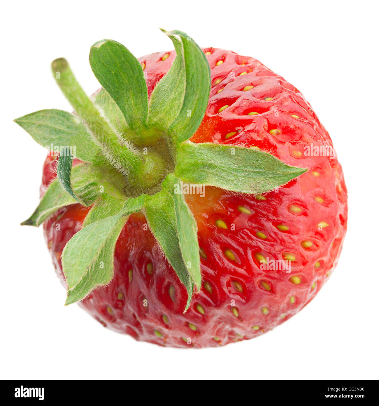 Strawberry fruit closeup isolated on white background Stock Photo - Alamy