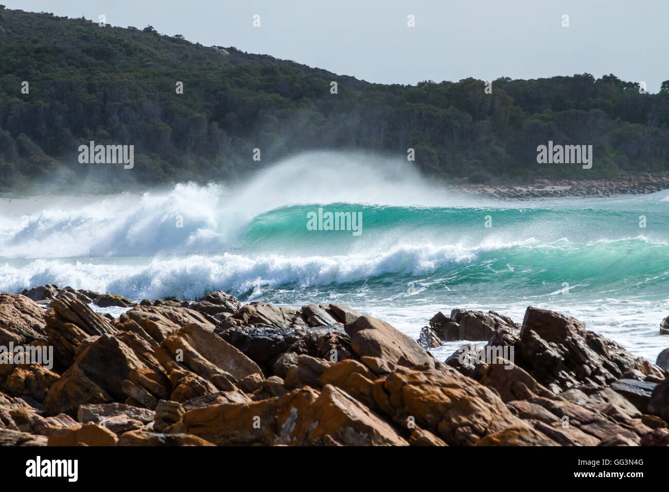 A beautiful green wave Stock Photo - Alamy