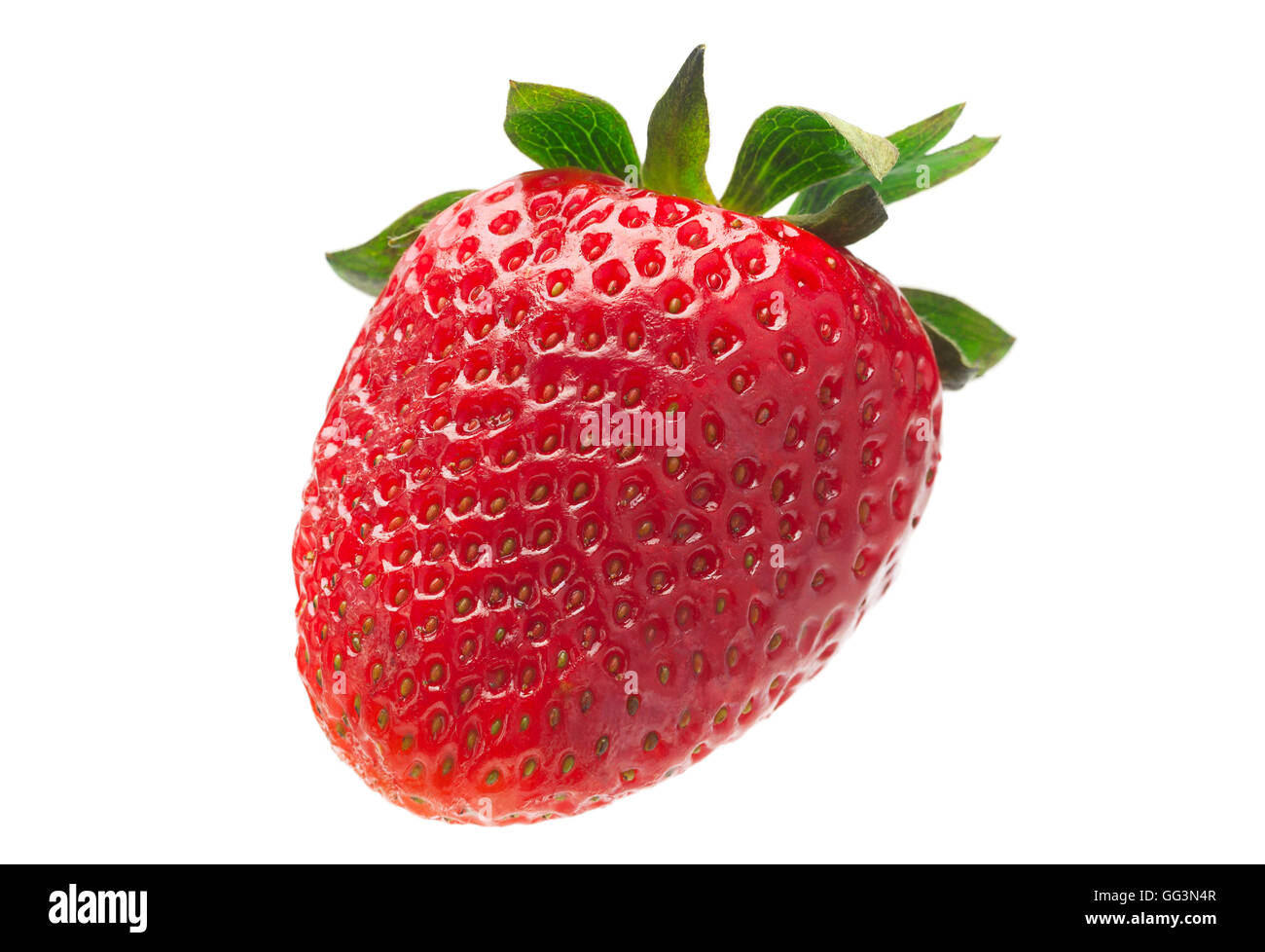 Strawberry fruit closeup isolated on white background Stock Photo - Alamy