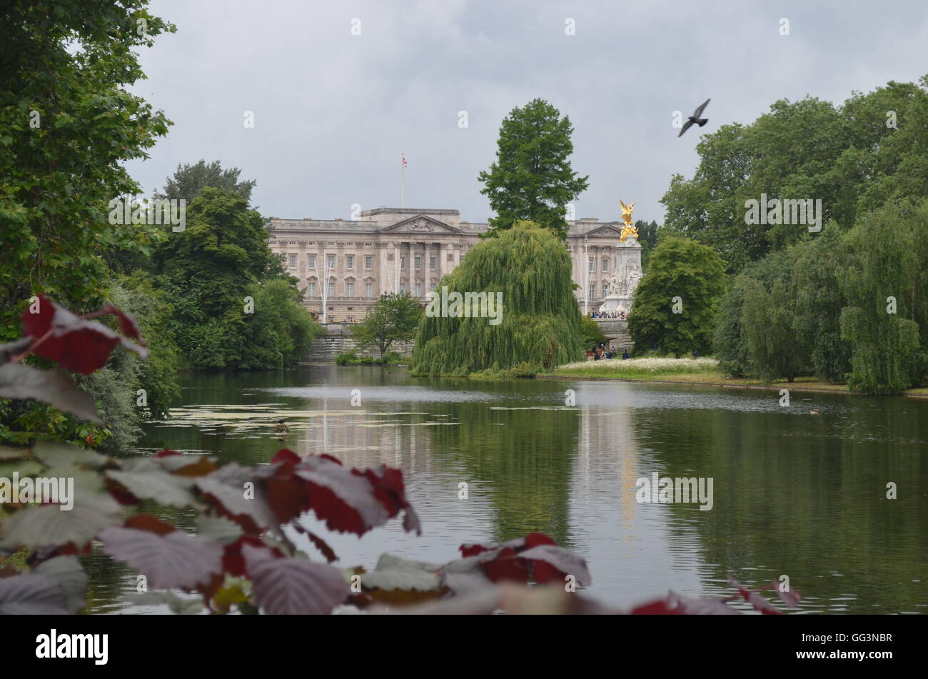 Green park and buckingham palace hi-res stock photography and images ...