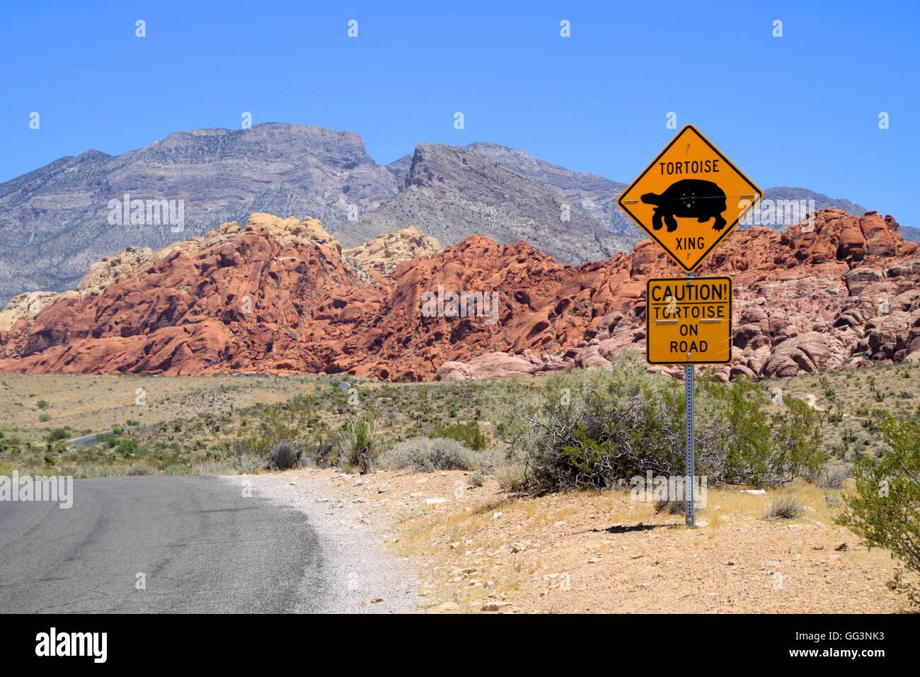 Road sign reading "Tortoise Crossing" in desert setting Stock Photo - Alamy