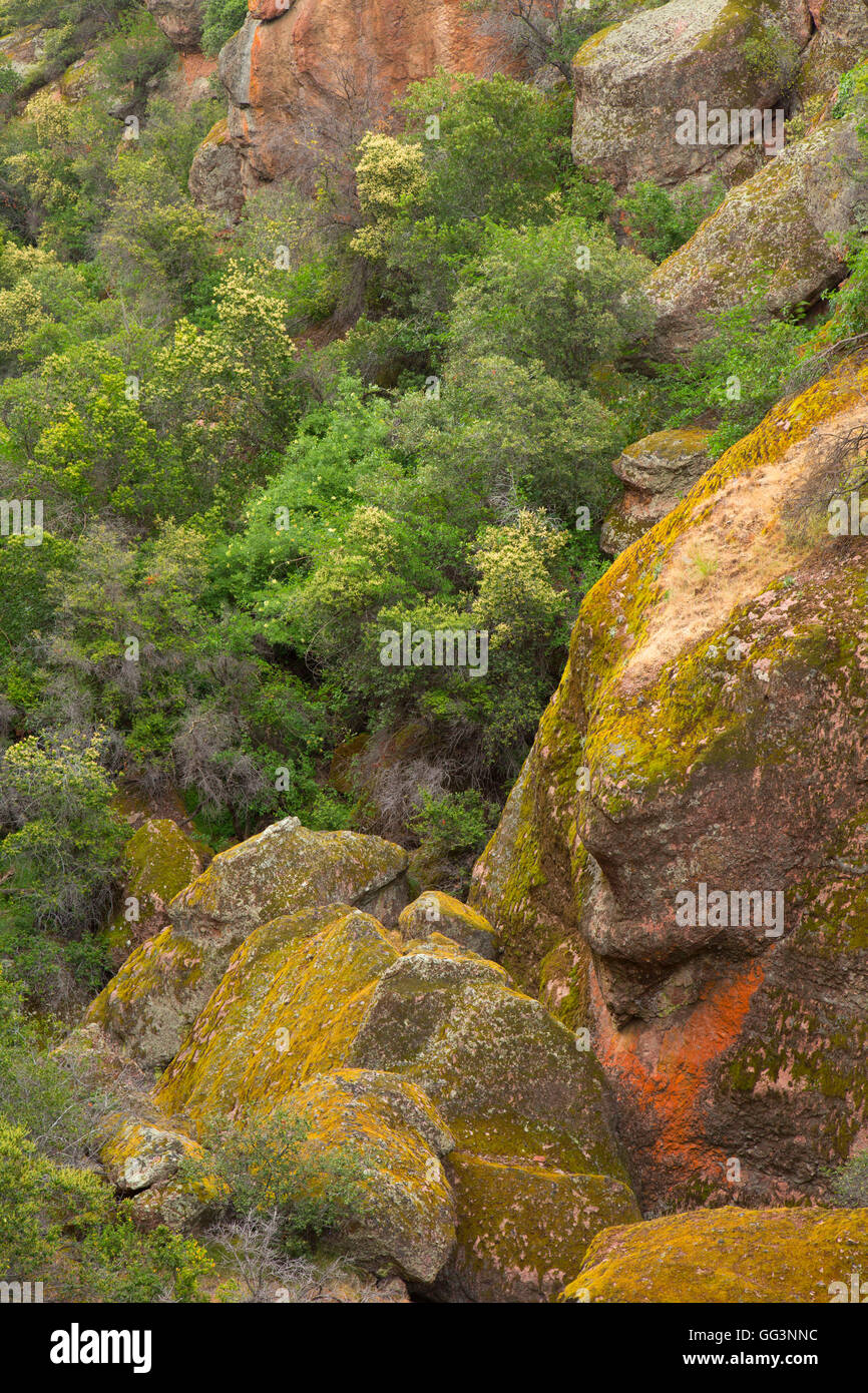Bear Gulch along Moses Spring Trail, Pinnacles National Park ...