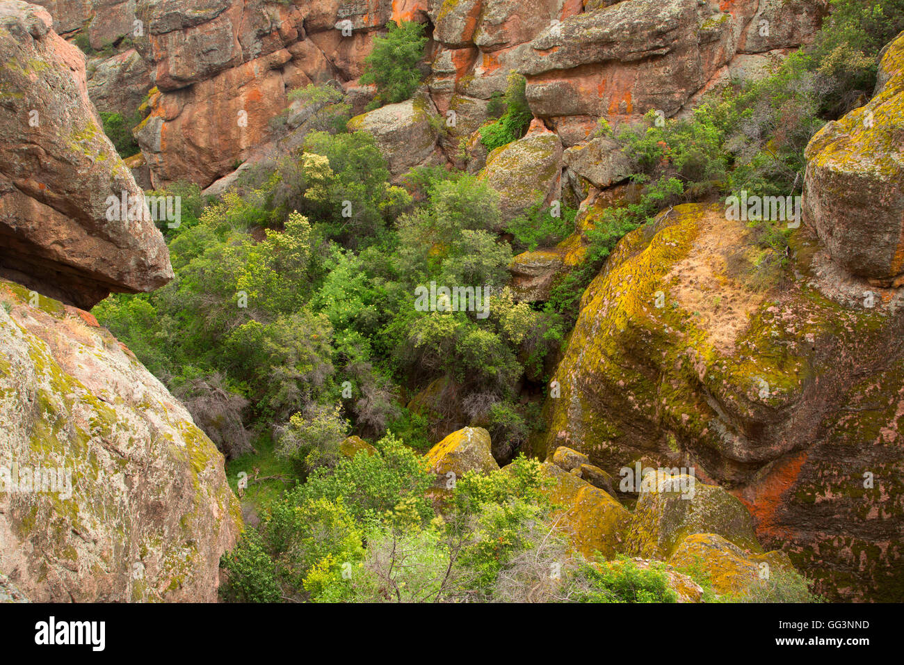 Bear Gulch along Moses Spring Trail, Pinnacles National Park ...