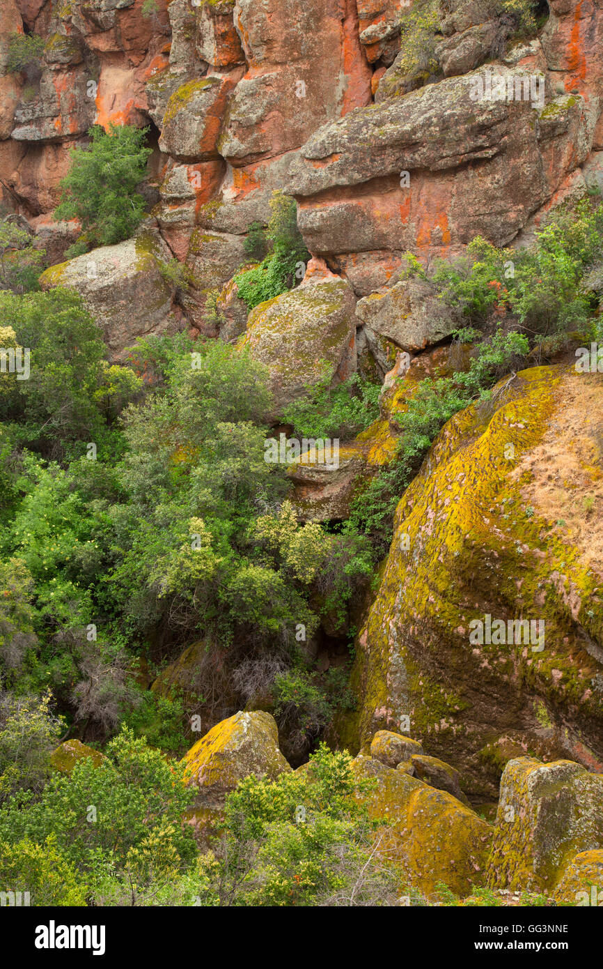 Bear Gulch along Moses Spring Trail, Pinnacles National Park ...