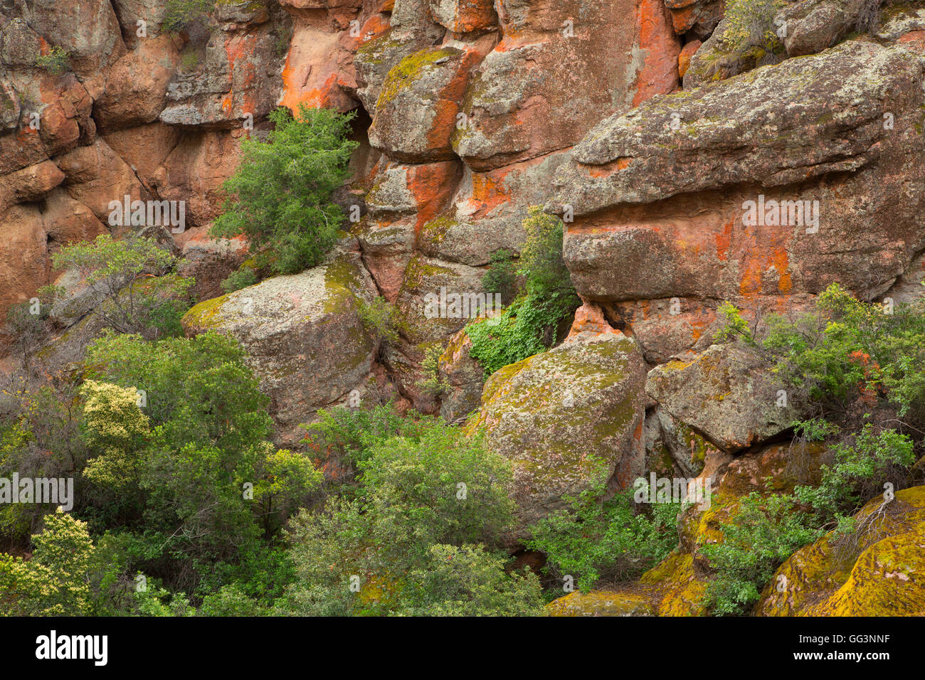 Bear Gulch along Moses Spring Trail, Pinnacles National Park ...