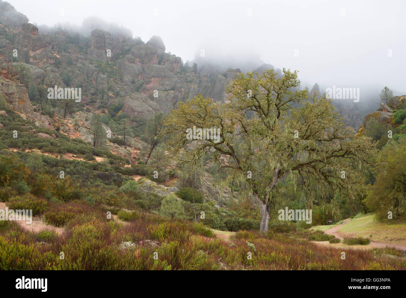 Chaparral Park High Resolution Stock Photography and Images - Alamy