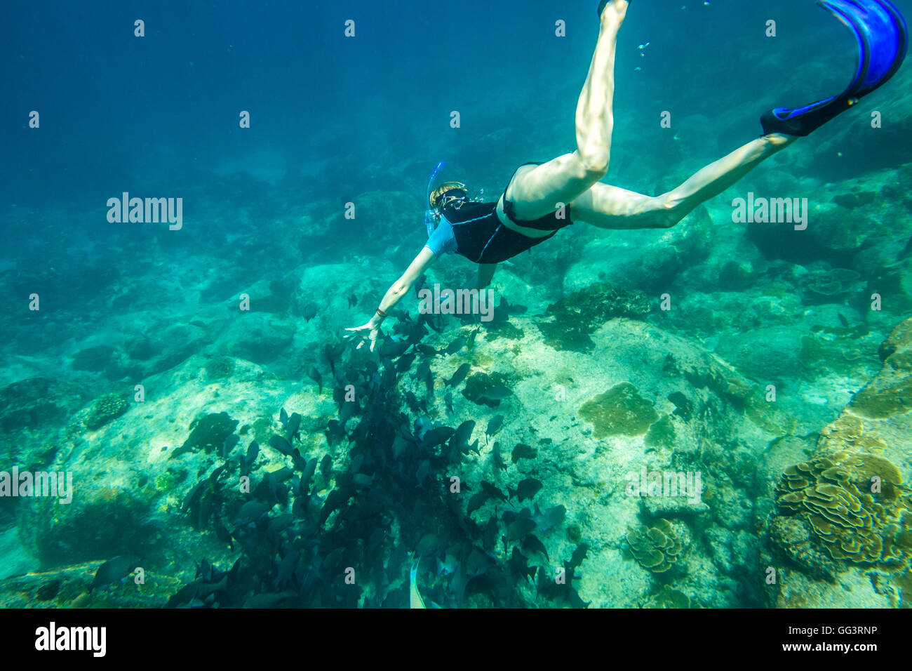 Underwater bikini girl snorkel diver hi-res stock photography and ...