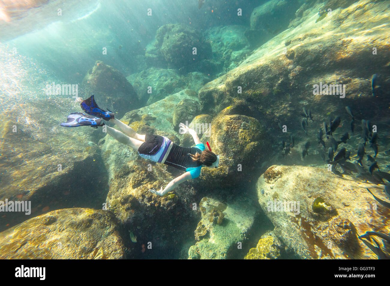 Free diving man hi-res stock photography and images - Alamy