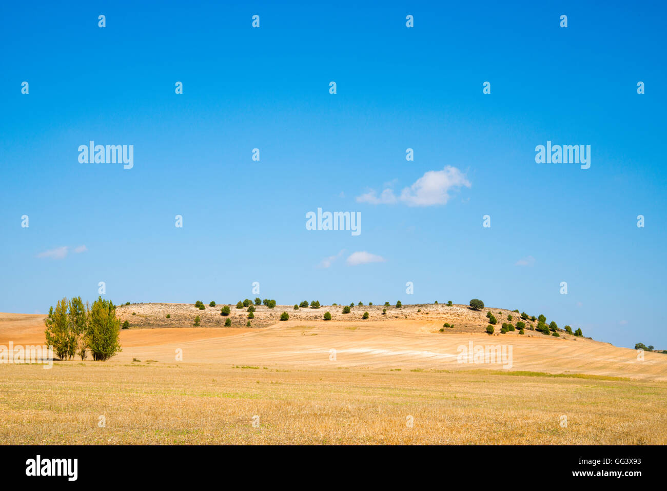 Castilian meseta hi-res stock photography and images - Alamy