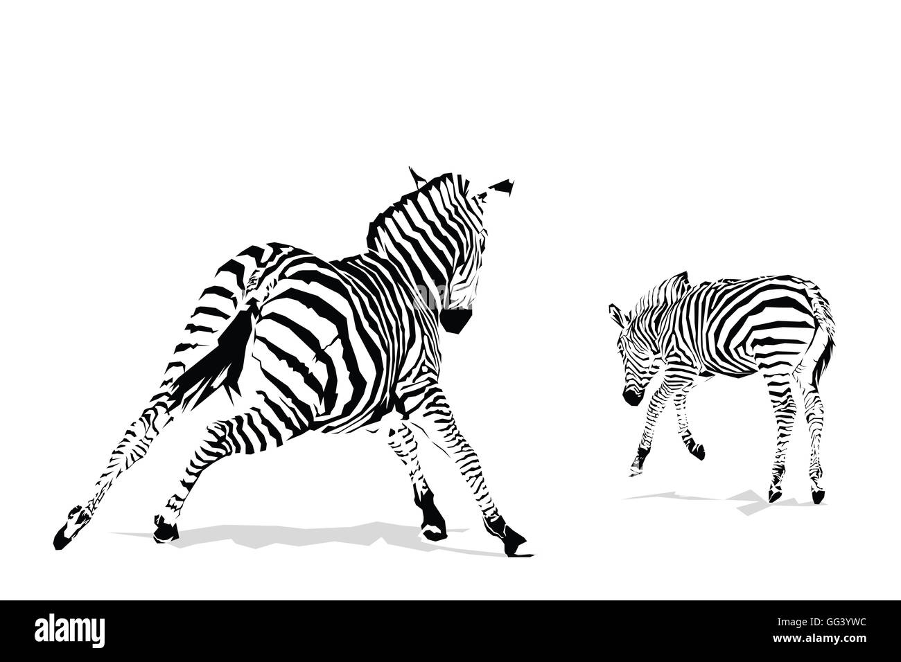 Zebras Cut Out Stock Images & Pictures - Alamy