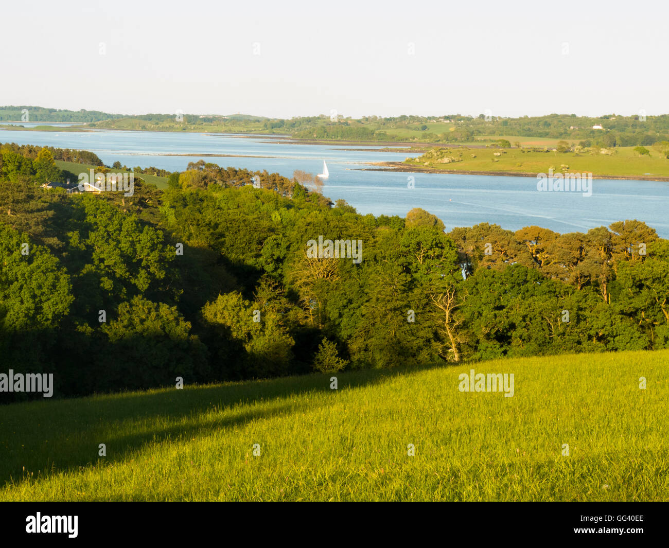 Strangford Lough County Down Northern Ireland Stock Photo - Alamy