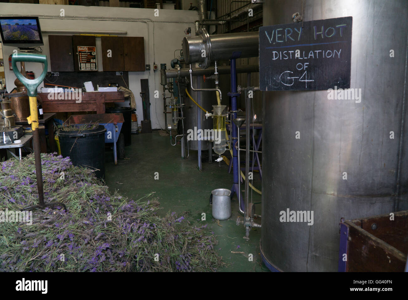 Lavender oil distilling process machines at Jersey Lavender Farm ...