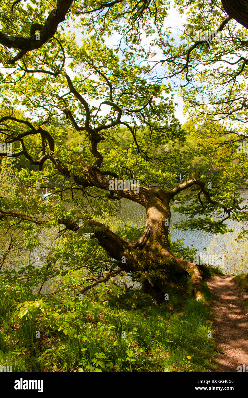 Rudyard lake hi-res stock photography and images - Alamy