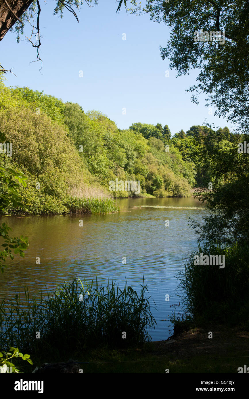 River Quoile County Down Northern Ireland Stock Photo - Alamy