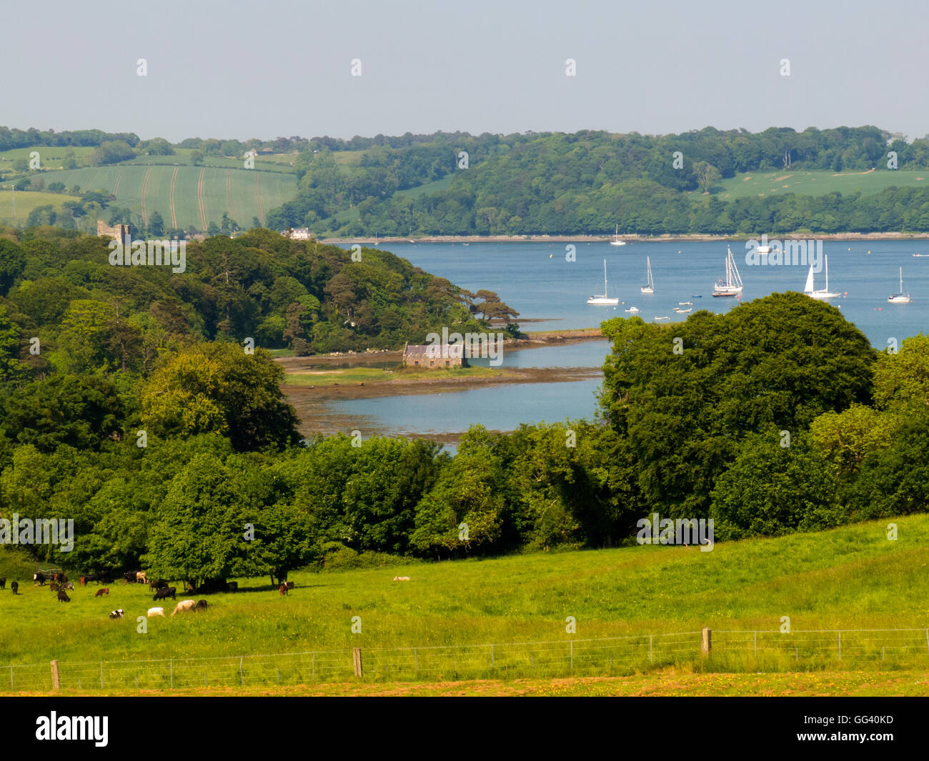 Strangford lough county down northern hi-res stock photography and ...