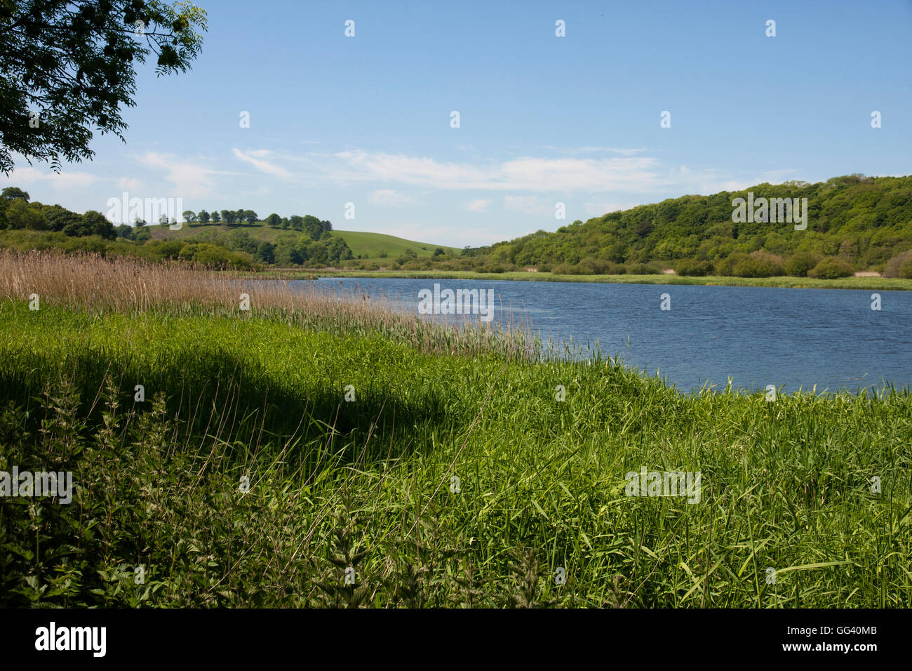 River Quoile County Down Northern Ireland Stock Photo - Alamy