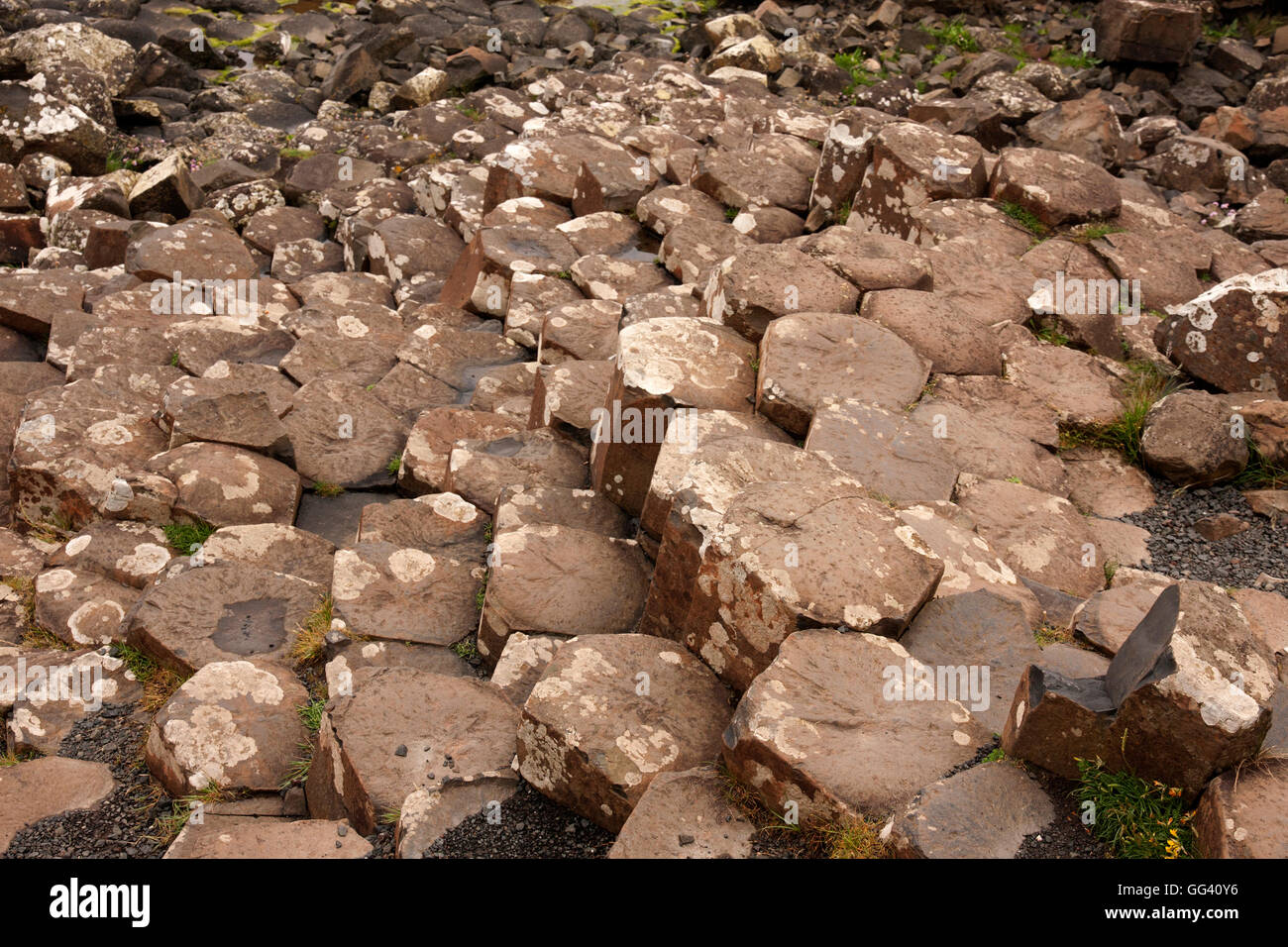 Giant's Causeway Moyle Northern Ireland Stock Photo - Alamy
