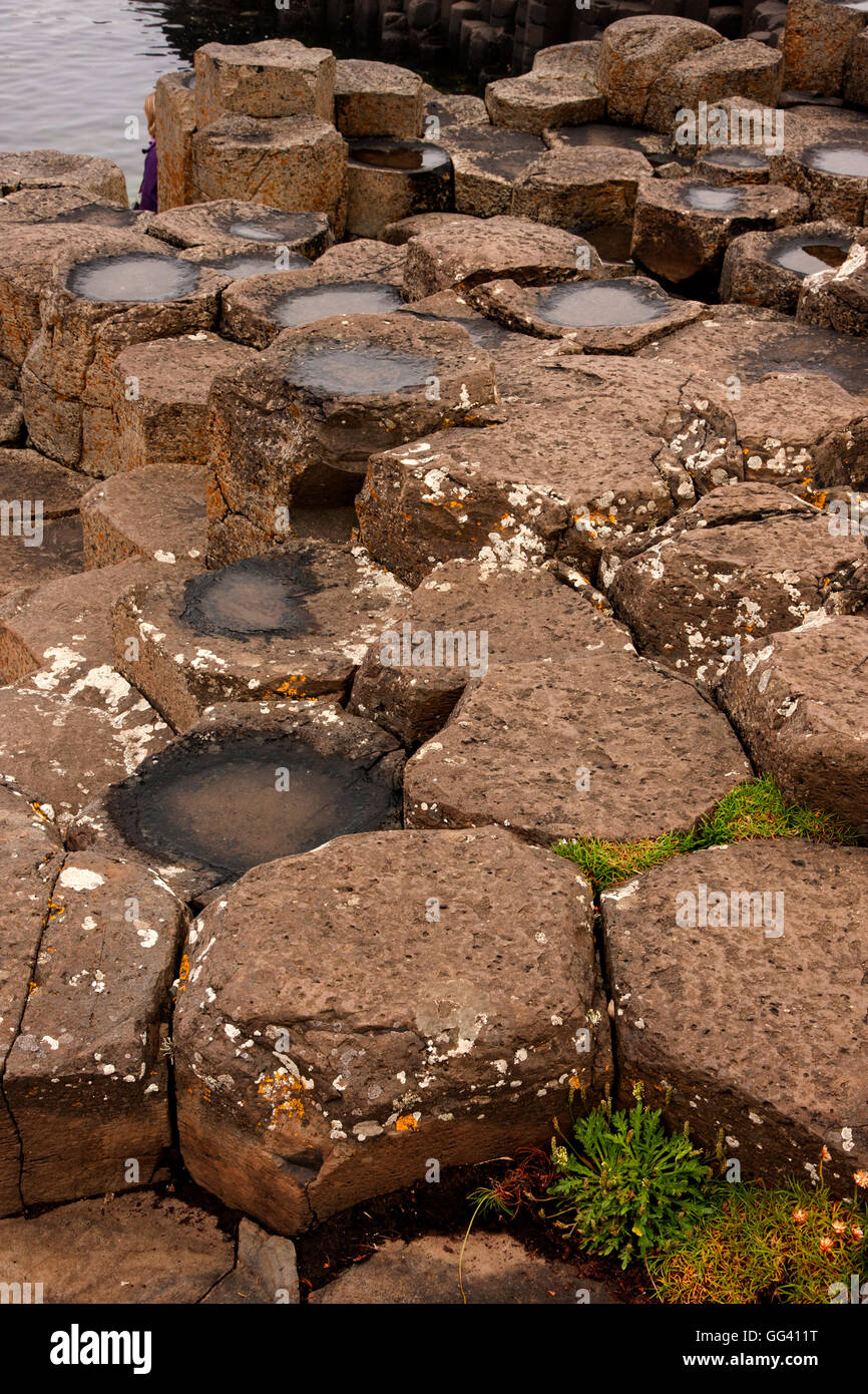 Giant's Causeway Moyle Northern Ireland Stock Photo - Alamy