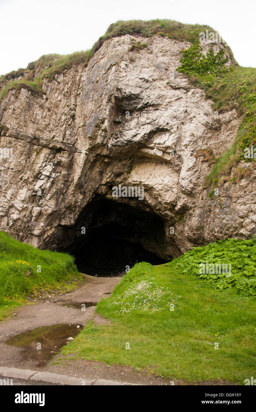 Habitat cave hi-res stock photography and images - Alamy