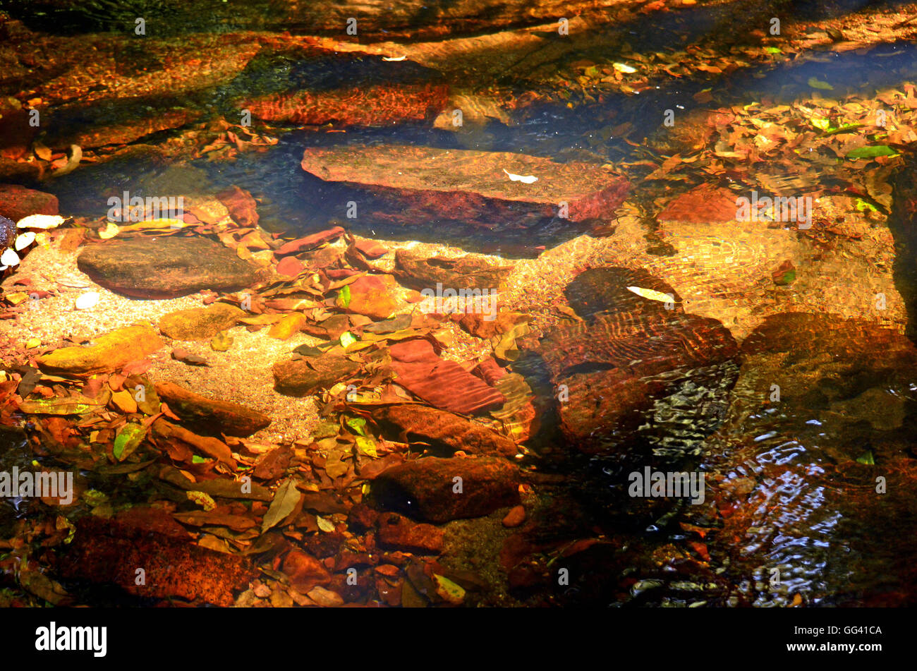 Ripples and reflections on a golden shallow creek bed with large rocks ...