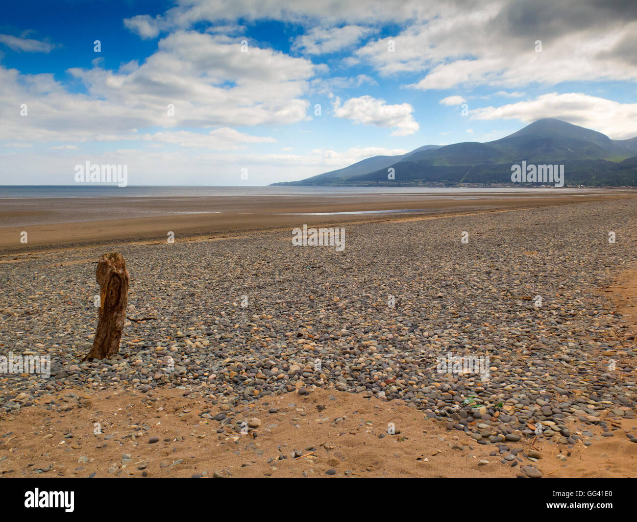 Murlough National Nature Reserve with mountains of Mourne in distance ...