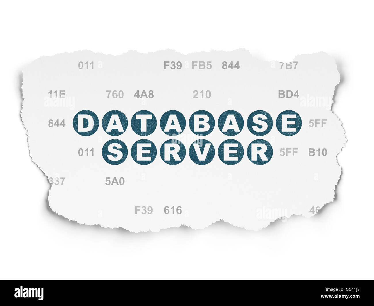 Database concept: Database Server on Torn Paper background Stock Photo ...
