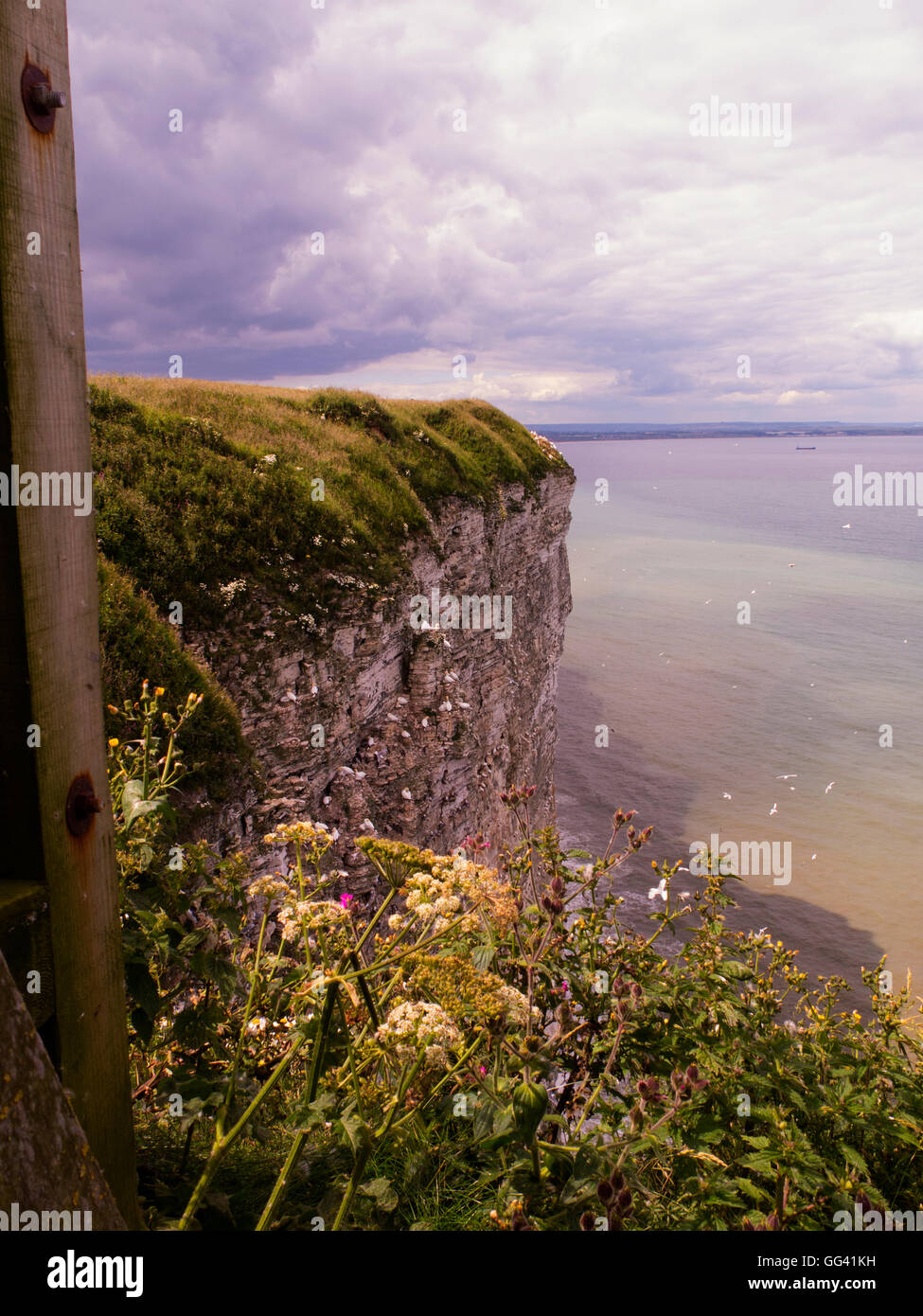 Cliffs of uk hi-res stock photography and images - Alamy