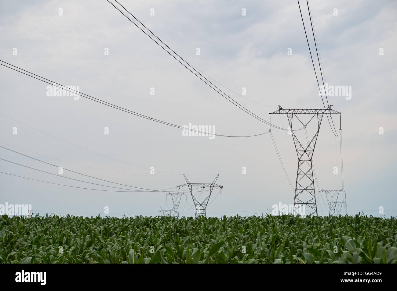 Power lines electricity national grid cables infrastructure ...