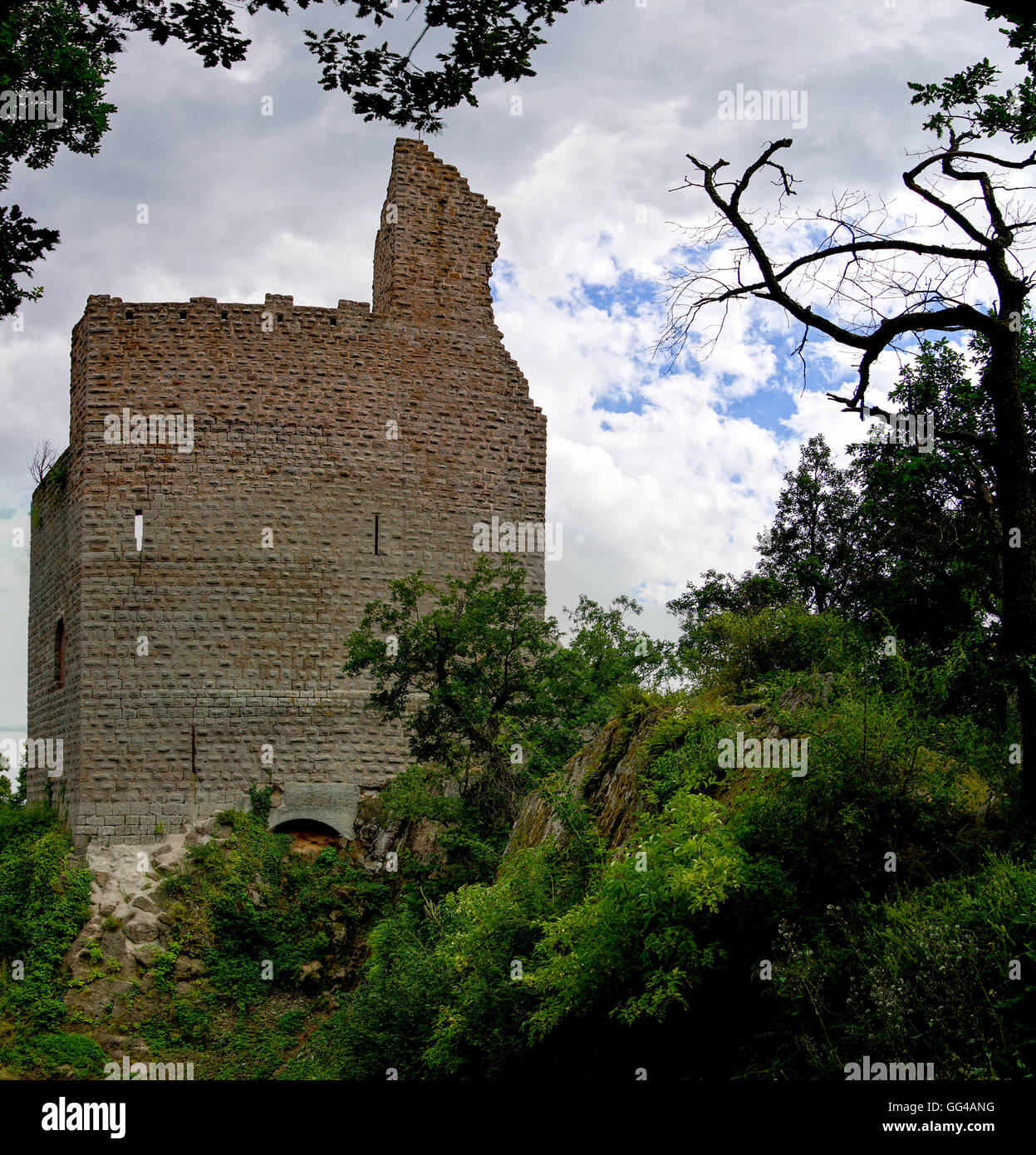 Old medieval fortress ruins of Chateau Spesbourg in deep forest, Alsace ...