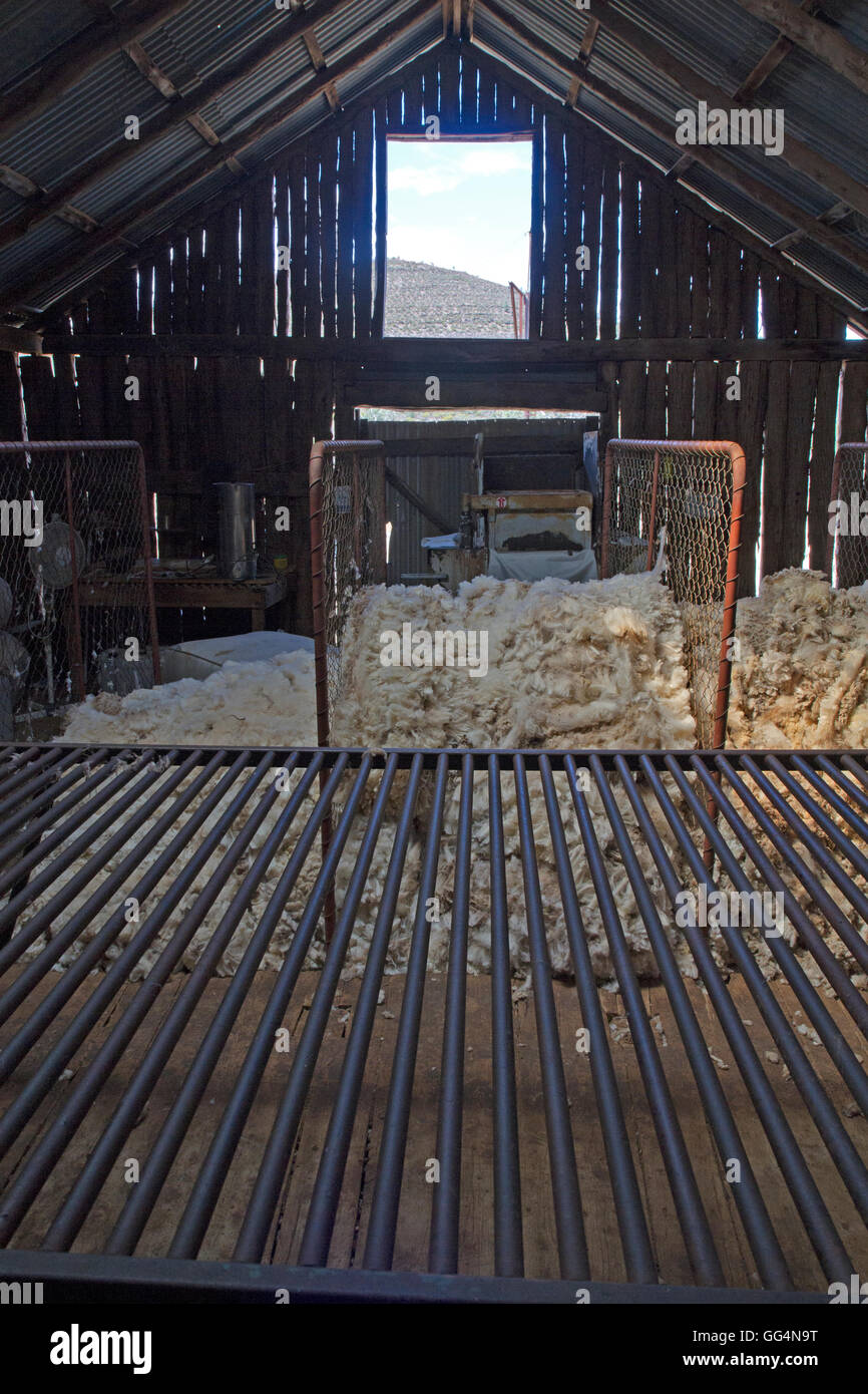 Woolshed on Angorichina Station Stock Photo - Alamy