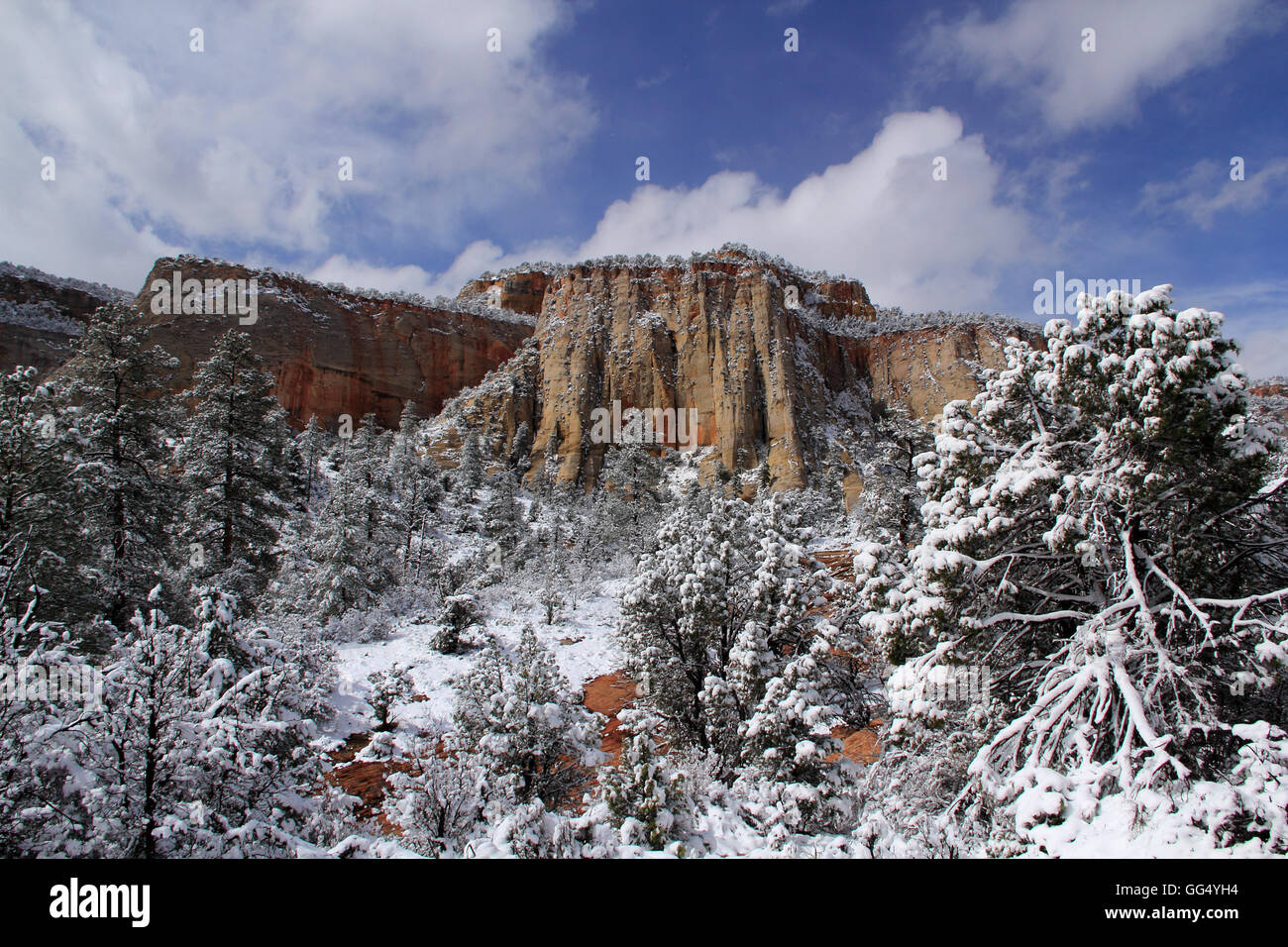 Beautiful Winter Landscape in Zion National Park, Utah Stock Photo - Alamy