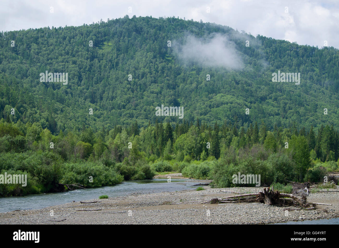 Summer landscape taiga river hi-res stock photography and images - Alamy