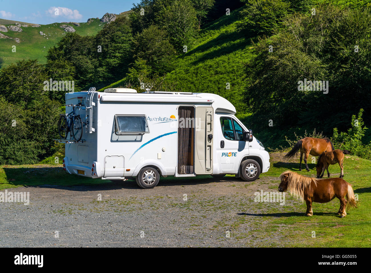 Ponies and caravan at Garazi Baigorri valley, Inter-communality on the ...