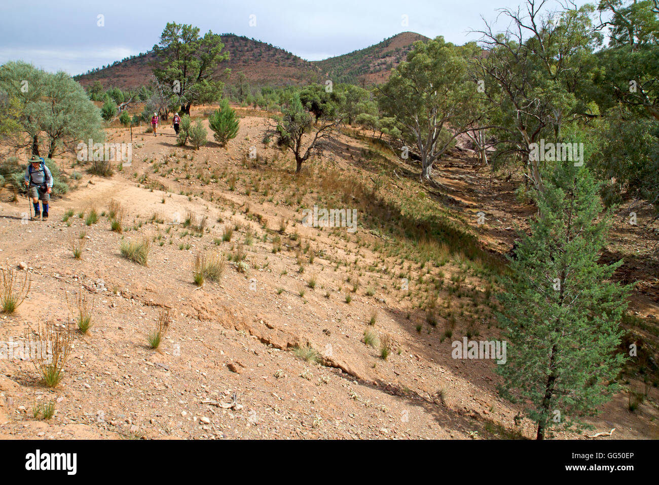 Hikers in the Northern Flinders Ranges Stock Photo - Alamy