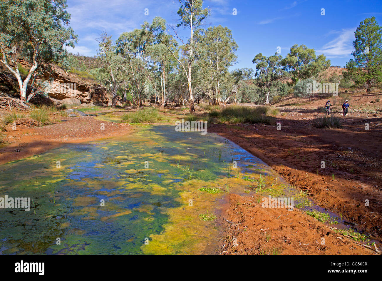 Flinders ranges australia hike hi-res stock photography and images - Alamy
