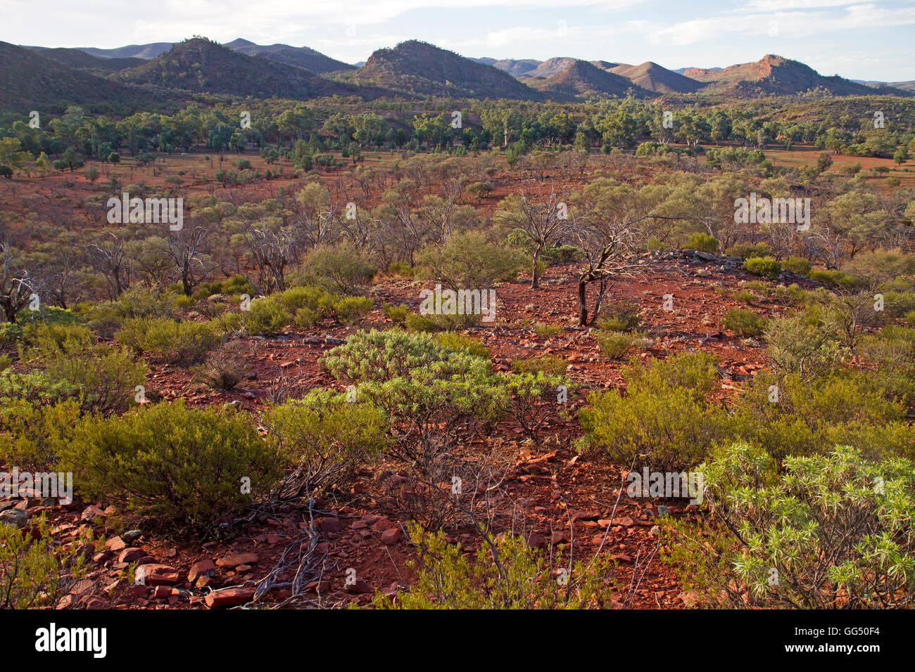 View along the Northern Flinders Ranges outside of Blinman Stock Photo ...