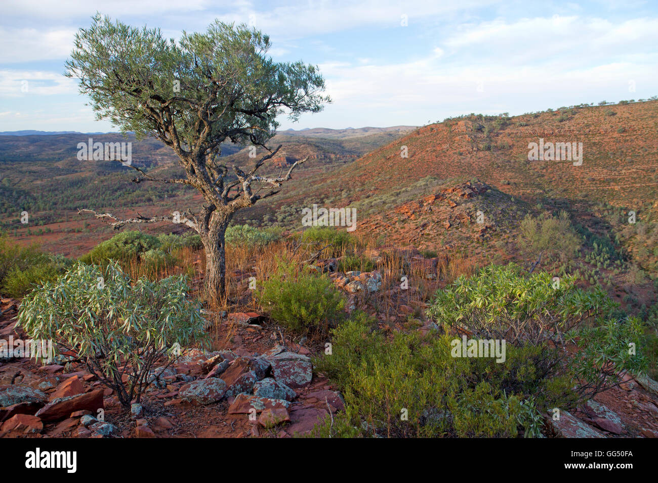 View along the Northern Flinders Ranges outside of Blinman Stock Photo ...