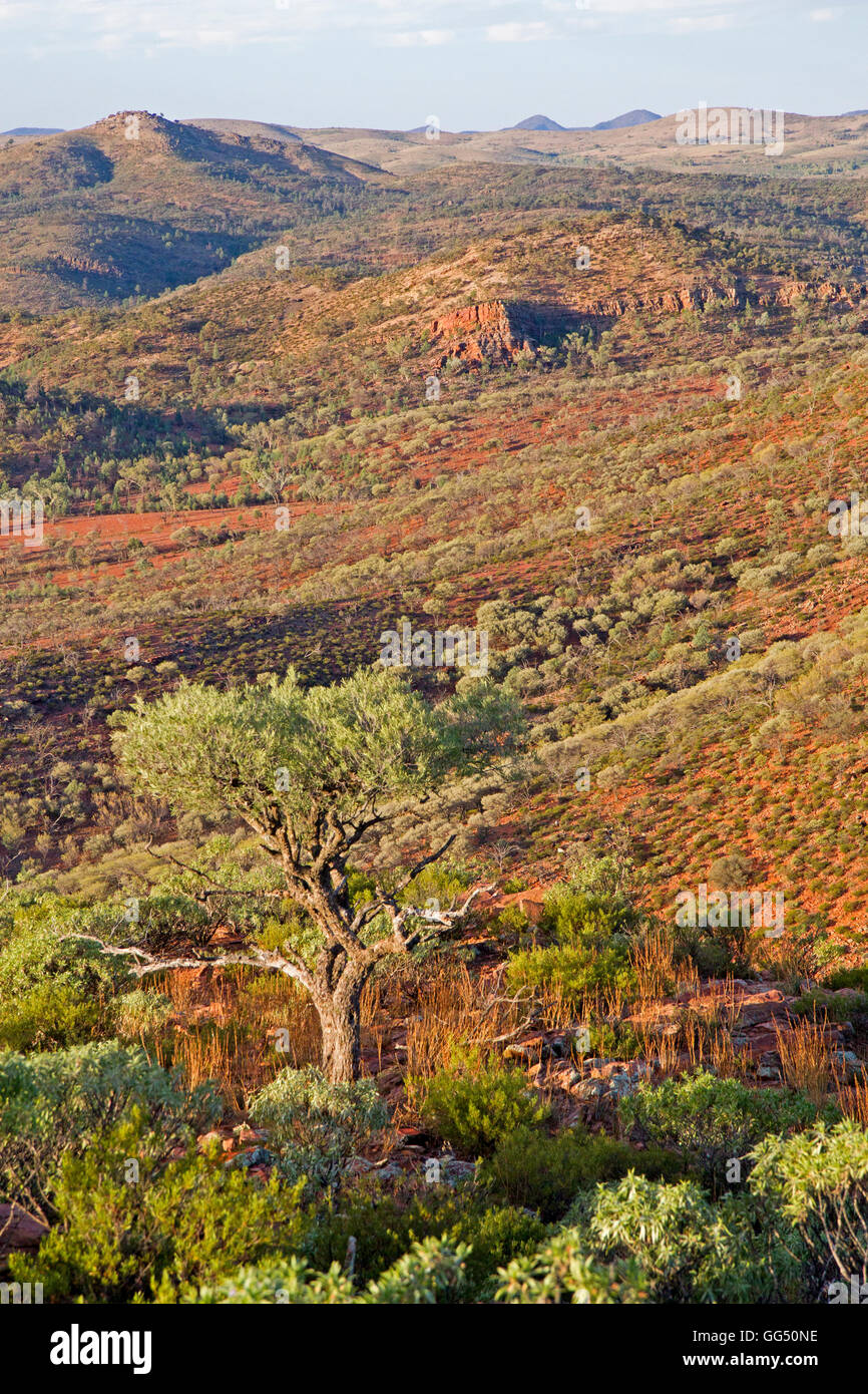 View along the Northern Flinders Ranges outside of Blinman Stock Photo ...