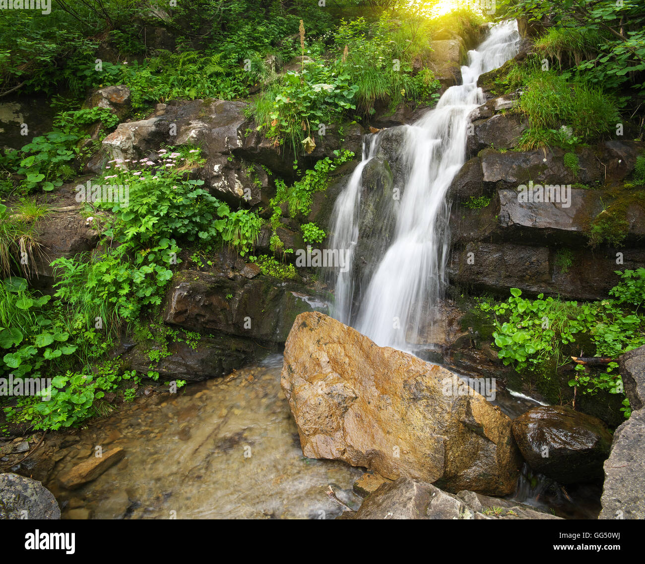 Spring rill flow. Nature composition Stock Photo - Alamy