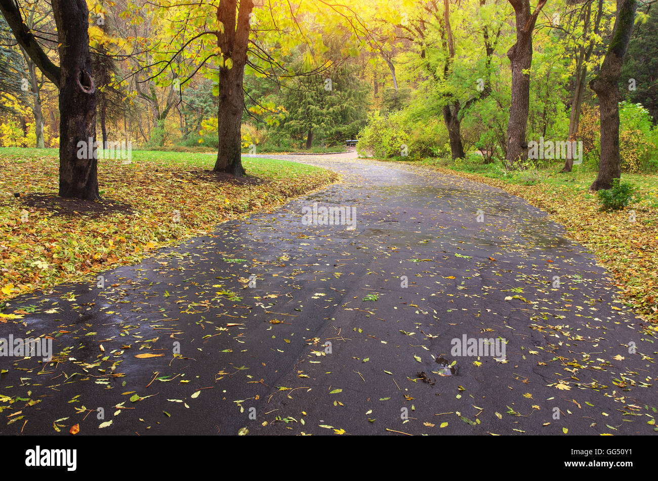Autumn landscape. Composition of nature. Path in park Stock Photo - Alamy