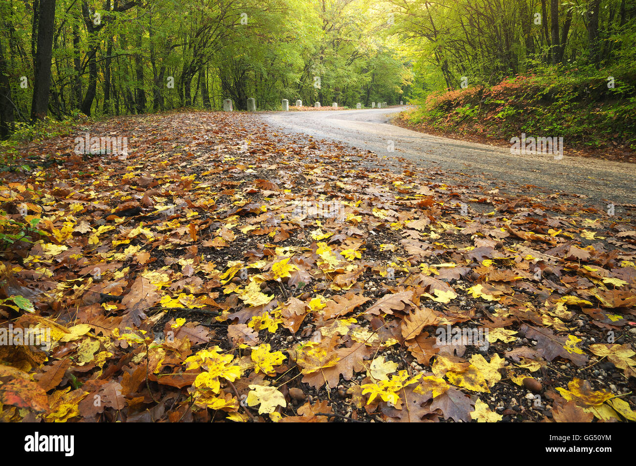 Asphalt road autumn hi-res stock photography and images - Alamy