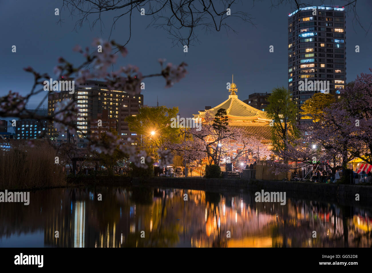 Cherry blossom, Shinobazu Pond, Ueno Park, Taitoa-Ku, Tokyo, Japan ...
