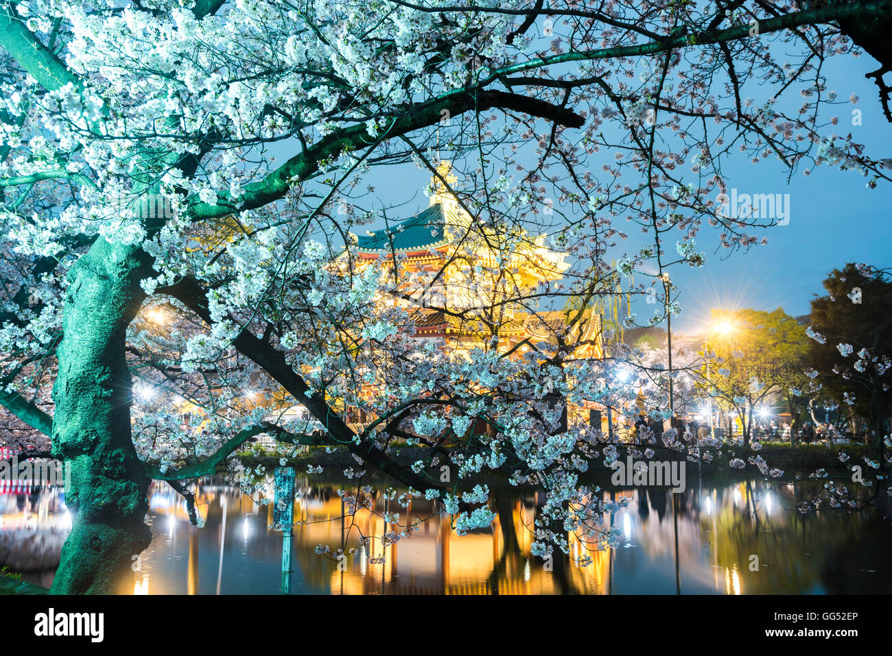 Cherry blossom, Shinobazu Pond, Ueno Park, Taitoa-Ku, Tokyo, Japan ...