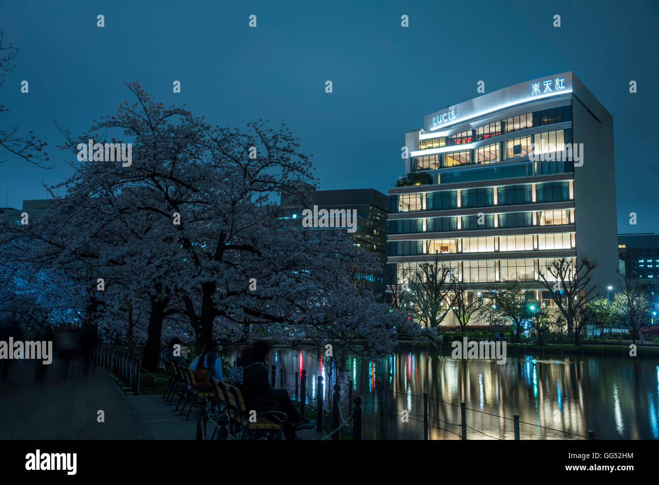 Cherry blossom, Shinobazu Pond, Ueno Park, Taitoa-Ku, Tokyo, Japan ...