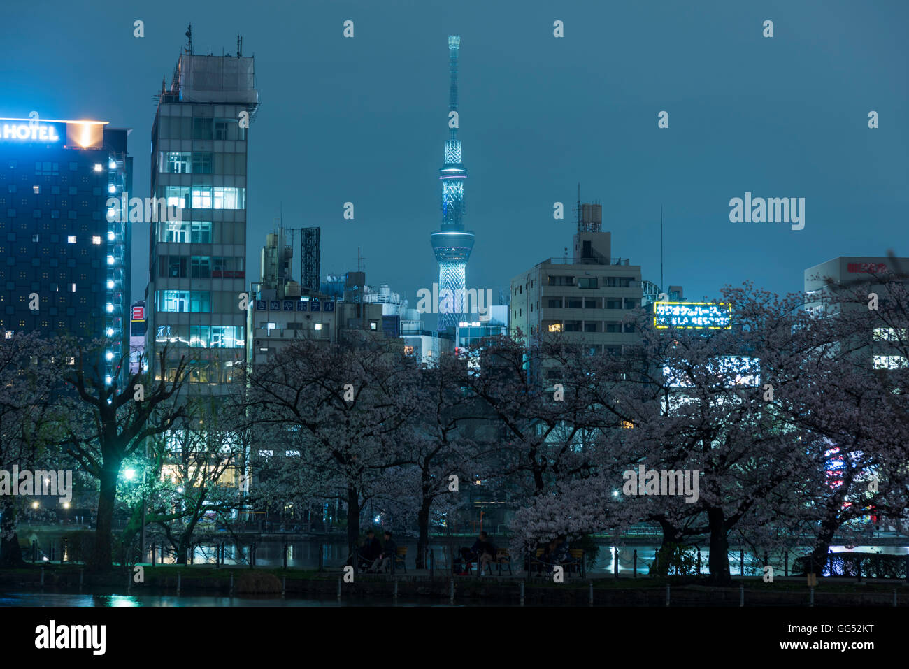 Cherry blossom, Shinobazu Pond, Ueno Park, Taitoa-Ku, Tokyo, Japan ...