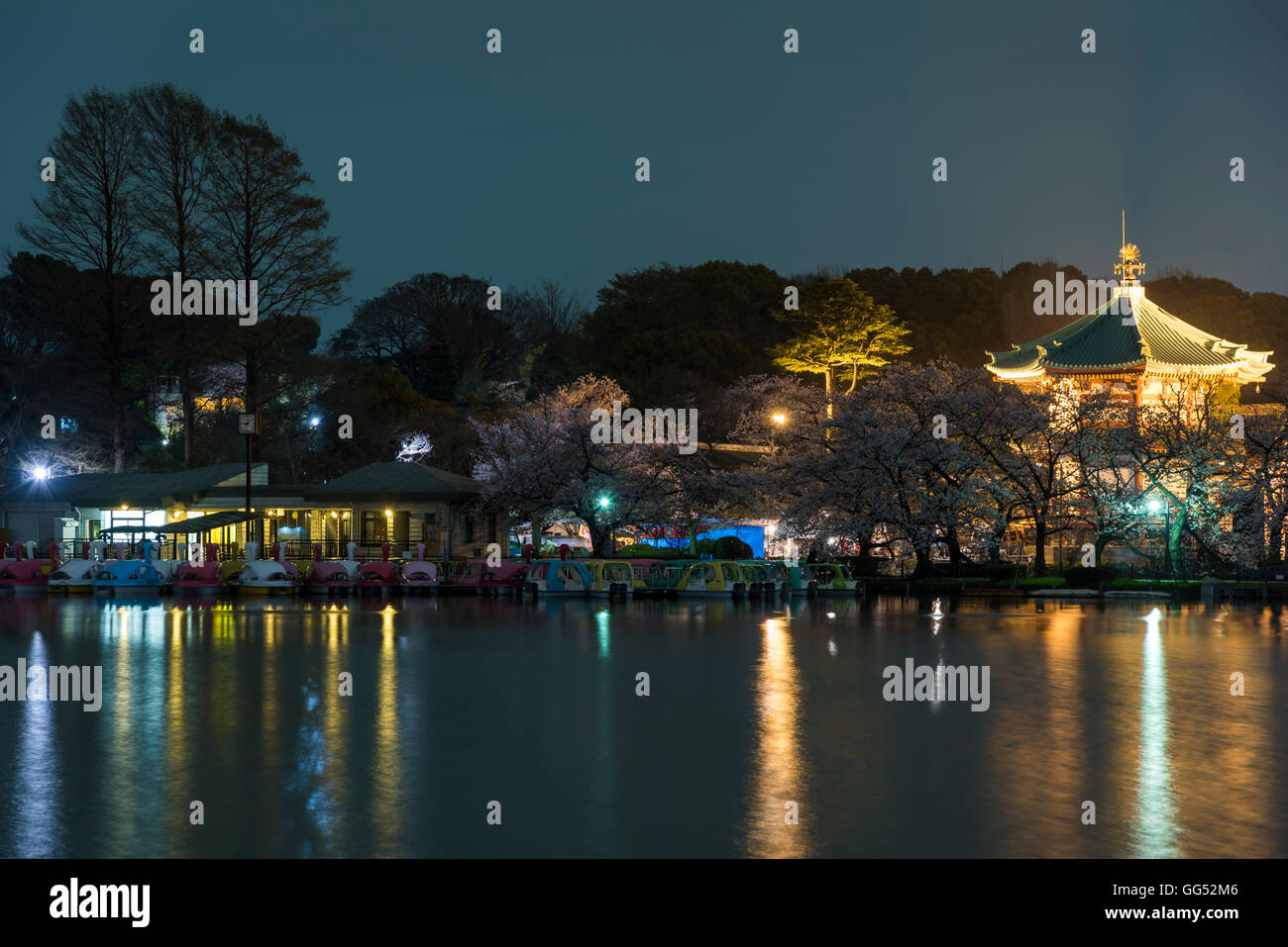 Cherry blossom, Shinobazu Pond, Ueno Park, Taitoa-Ku, Tokyo, Japan ...