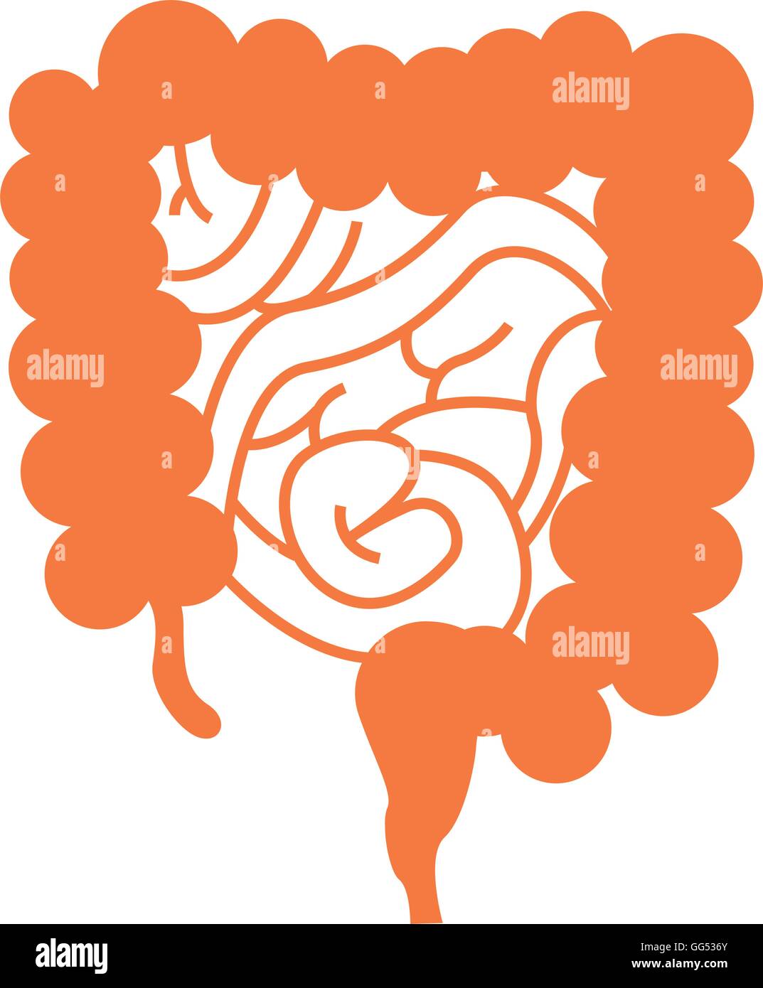 Bowels illustration Stock Vector Images - Alamy