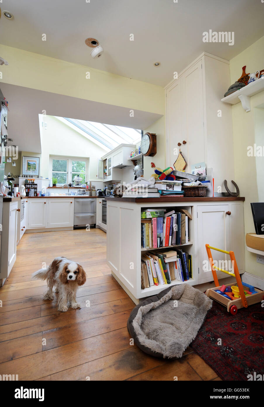 Kitchen family clutter hi-res stock photography and images - Alamy